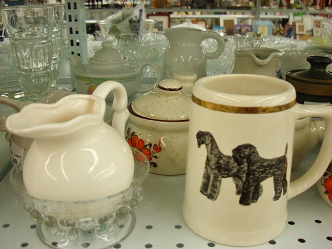 Ceramic treasures await new homes. That dog mug is giving serious "I belonged to someone who collected everything with schnauzers on it" energy.