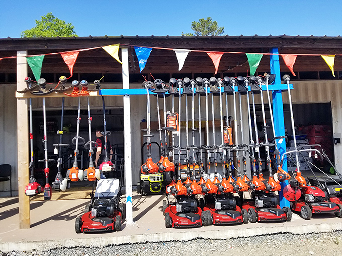 The lawn care lineup! Like a beauty pageant for yard equipment, these mowers and trimmers stand at attention, ready for their second act in someone's garden.