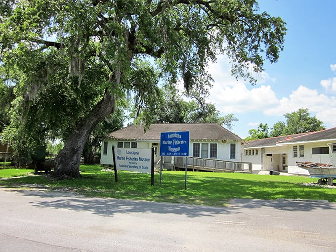 The Louisiana Marine Fisheries Museum: where "catching up on history" takes on a whole new meaning for fishing enthusiasts.