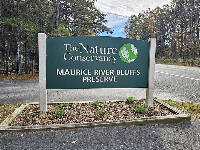 The Maurice River Bluffs Preserve provides serene natural beauty completely free of charge. Nature trails and river views prove retirement in Millville comes with priceless amenities.