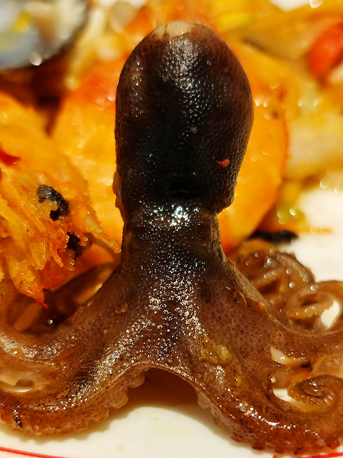 This octopus might look like it's auditioning for a sea monster movie, but it's actually a delicacy for the adventurous buffet explorer.