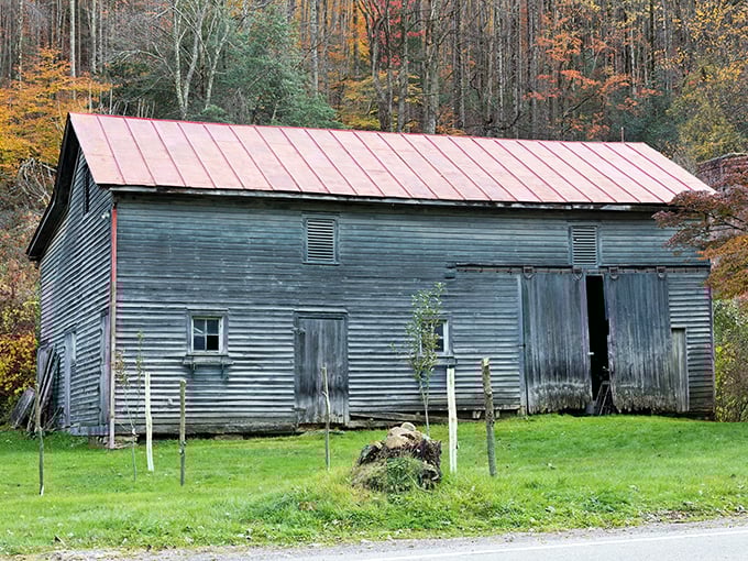 This weathered blue barn has seen more seasons than most of us have seen Netflix shows, wearing its age with the dignity of a vintage wine.
