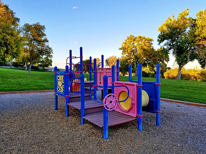 This playground might not be Disney World, but to local kids, those blue and pink structures are the stuff of recess legends.