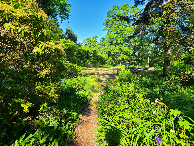 Nature trails wind through Mystic's peaceful sanctuaries, offering a verdant escape just minutes from downtown. Serenity now, seafood later.