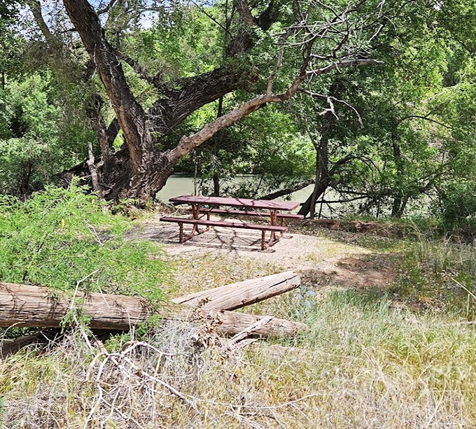 The perfect picnic spot doesn't exi&mdash; Oh wait, here it is, complete with shade trees and river soundtrack.