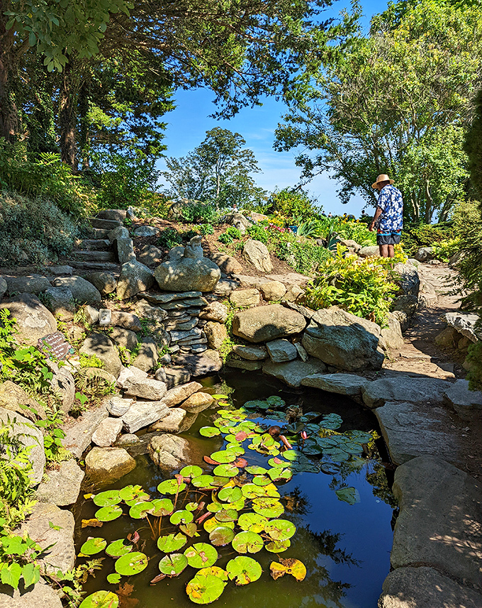 A lily pad paradise where Monet would've set up his easel and forgotten lunch, complete with stone steps that invite contemplative sitting.