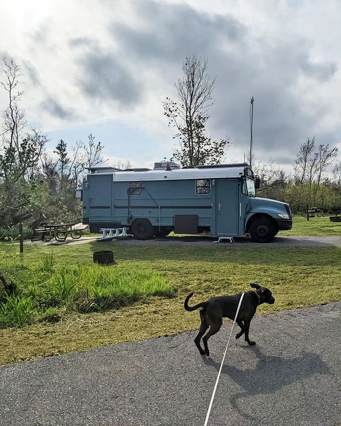 Home is where you park it. This RV spot offers all the comforts of home with a backyard that puts suburban lawns to shame.