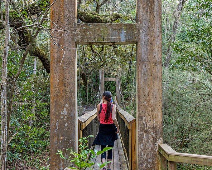 This suspension bridge at Ravine Gardens feels like stepping into a secret chapter of Florida that theme parks forgot to commercialize.