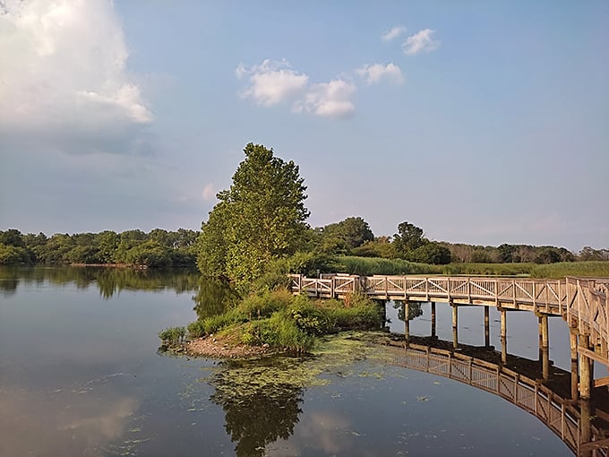 Nature creates its own masterpiece at Rock Run Rookery, where wooden boardwalks lead visitors through serene wetlands just minutes from urban conveniences.