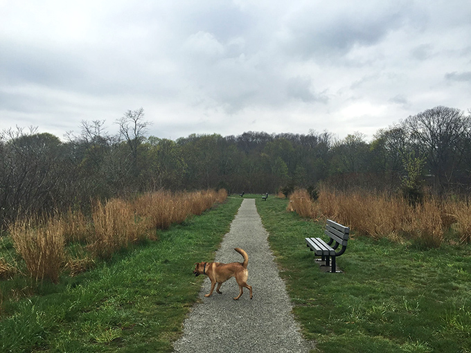 At Scalloptown Park, even the benches seem to invite contemplation, as if to say, "Sit a spell, the emails can wait."
