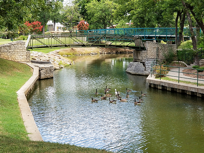 Shanley Park's picturesque bridge and duck-filled pond create the kind of tranquil scene that blood pressure medications try to replicate in pill form.