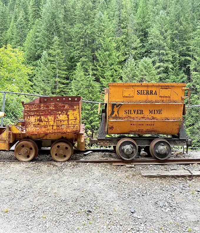 Rusted mine carts sit like industrial sculptures, silent storytellers of Wallace's silver boom days when fortunes were made and lost underground.