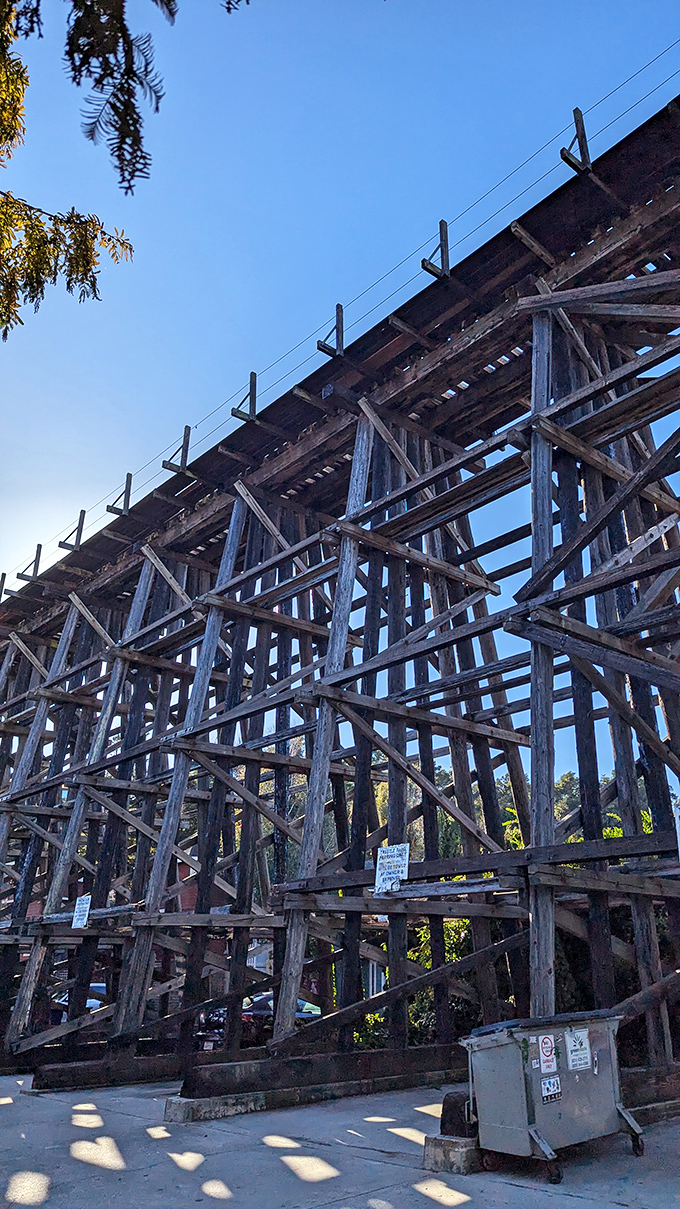 This wooden trestle bridge isn't just historic infrastructure&mdash;it's what happens when engineering and California redwoods have a particularly successful first date.