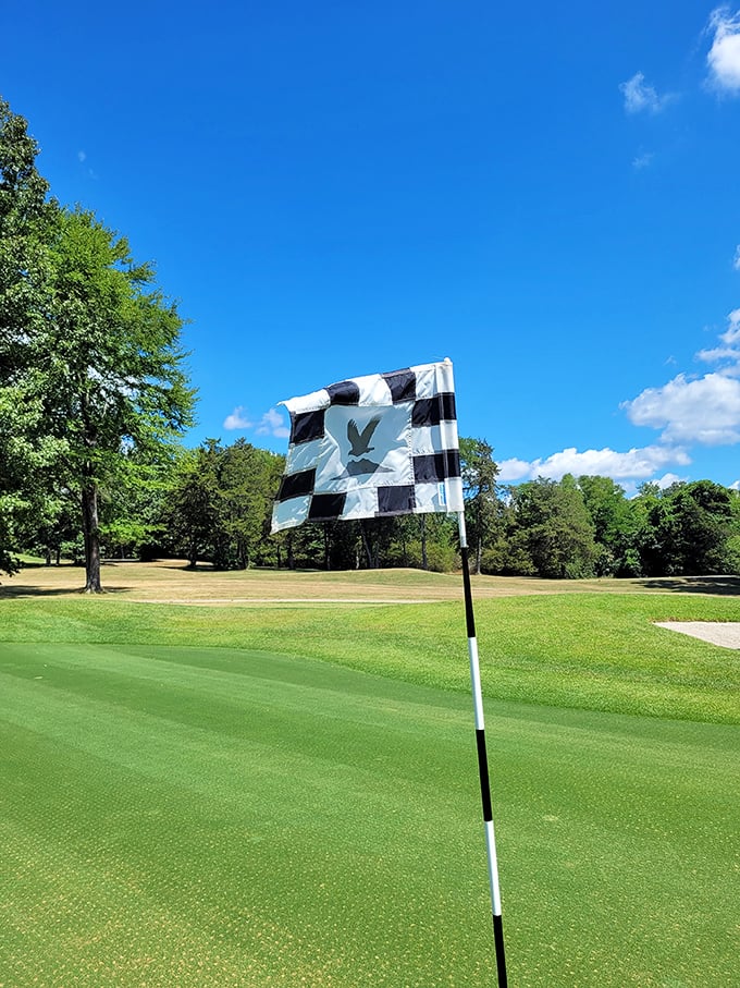 Eagle Mountain's golf course offers that perfect blend of challenging play and breathtaking Ozark scenery that makes even a bad score somehow worthwhile.