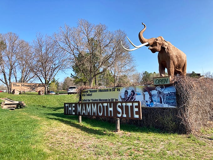 The Mammoth Site: where 26,000 years ago, prehistoric elephants checked in but never checked out. Nature's original "sticky situation."