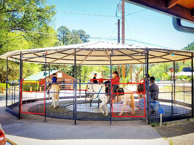 The carousel spins while the mountains watch, creating that timeless summer scene that never gets old no matter your age.