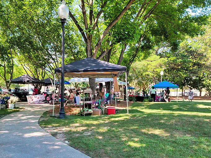 Farmers markets: where "grocery shopping" transforms into "community event." Under these shady trees, even buying lettuce feels like a social occasion.