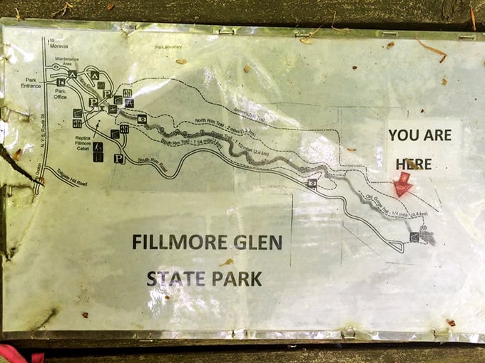 The park map says "You are here," but what it really means is "You are exactly where you need to be right now."