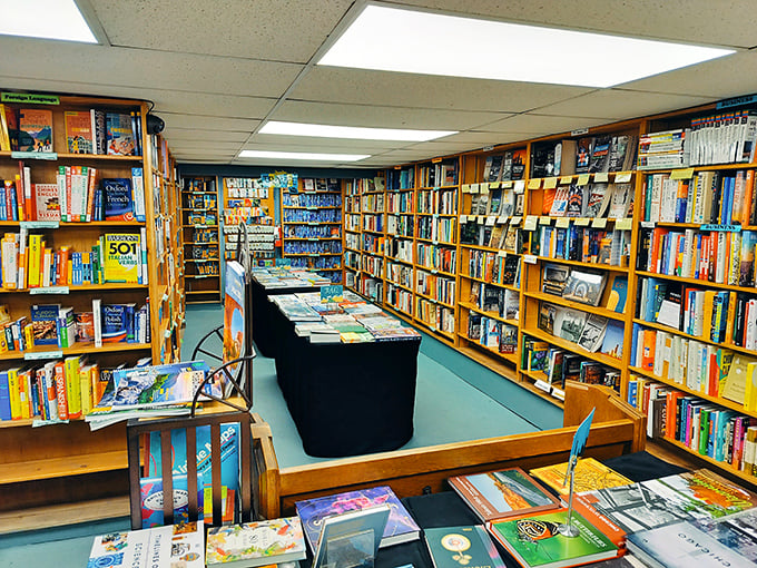 The travel section promises adventures without TSA pat-downs. Wooden shelves cradle worlds waiting to be explored between coffee breaks.