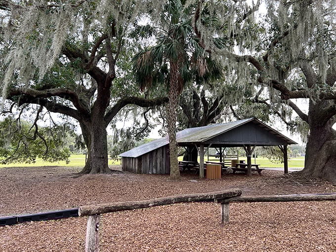 Ancient oaks draped with Spanish moss create a natural cathedral over this rustic picnic shelter at Tucker Ranch Nature Park.