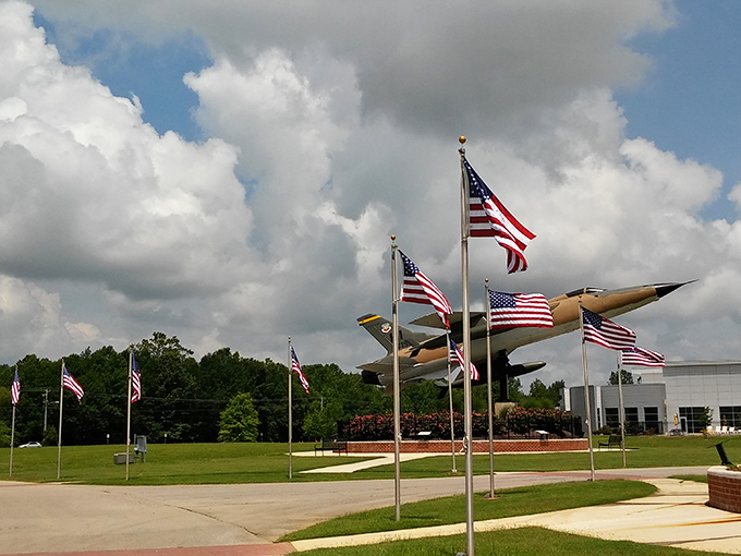 Veterans Park stands as Tupelo's tribute to service, where American flags frame a monument to those who protected our freedom to enjoy affordable healthcare.