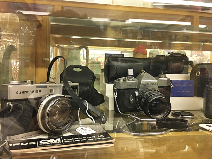 These cameras didn't just take pictures; they captured souls. Each one witnessed history through its mechanical eye.