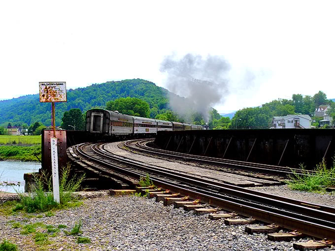 Steam and history billow together as the Western Maryland Scenic Railway crosses the river&mdash;a moving postcard from another era.
