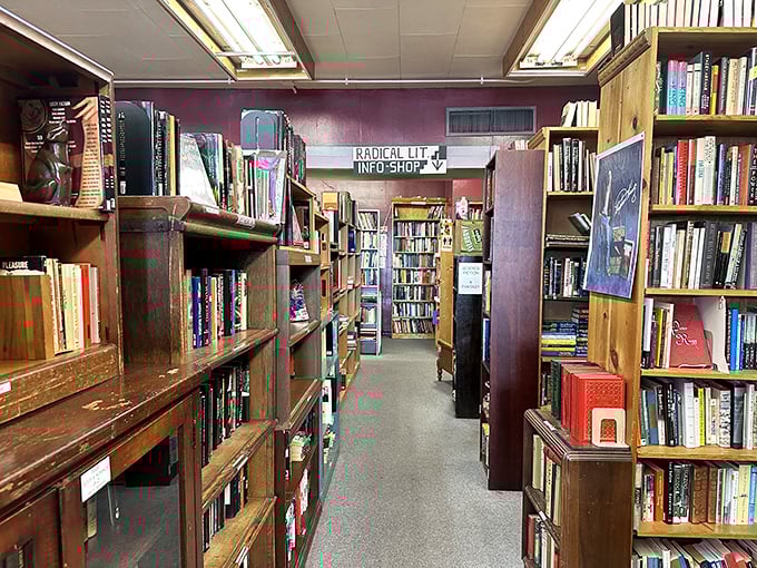 Down this corridor of knowledge, every shelf holds the potential for that magical moment when you find the book you didn't know you needed.