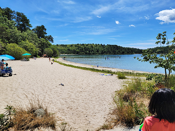 Summer's greatest hits album, track one: children's laughter mixing with splashing water while parents pretend they're not envious of carefree play.