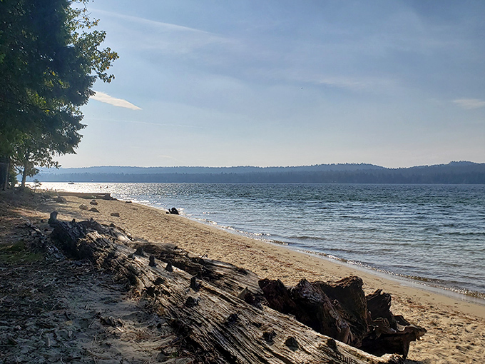 Beach day, Idaho style &ndash; where "oceanfront" means lake views and pine-scented breezes replace the smell of sunscreen and saltwater.