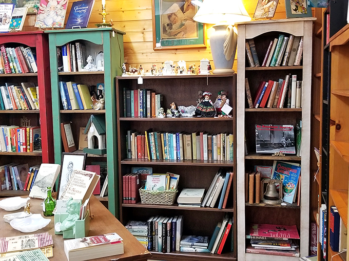 The bookshelf section&mdash;where literary treasures and childhood memories share shelf space. Spot that favorite bedtime story you haven't seen in decades.