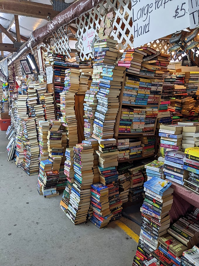 Book towers that would make the Leaning Tower of Pisa nervous. Literary treasures stacked higher than your summer reading ambitions.