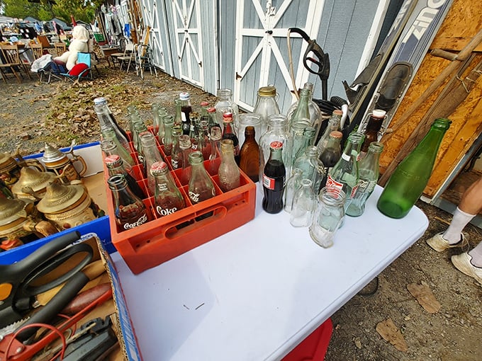 Vintage bottles lined up like soldiers, each one carrying stories of bygone soda fountains and corner drugstores.