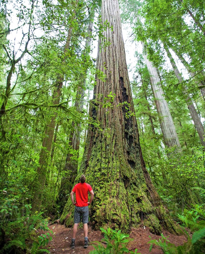 Standing before this towering giant puts your daily problems into proper, wonderfully tiny perspective.