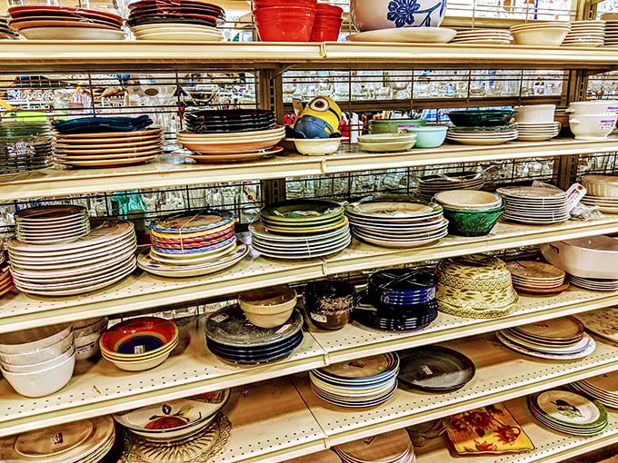 Plate paradise! Every pattern tells a story&mdash;from 1970s harvest gold to that wedding china someone's daughter-in-law politely declined.