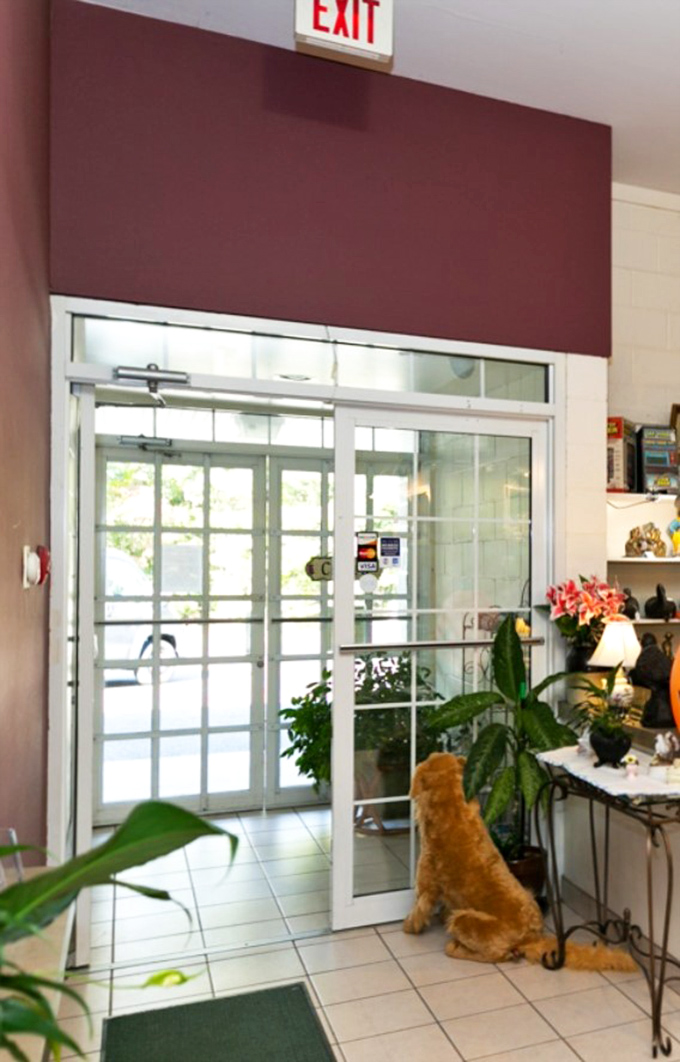 Welcoming entrance framed by greenery and natural light. Even the stuffed dog seems to say, "Come in and stay awhile!"