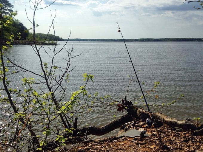 That fishing rod standing sentinel captures the essence of patience&mdash;sometimes the best catch is simply the peaceful hours spent waiting.