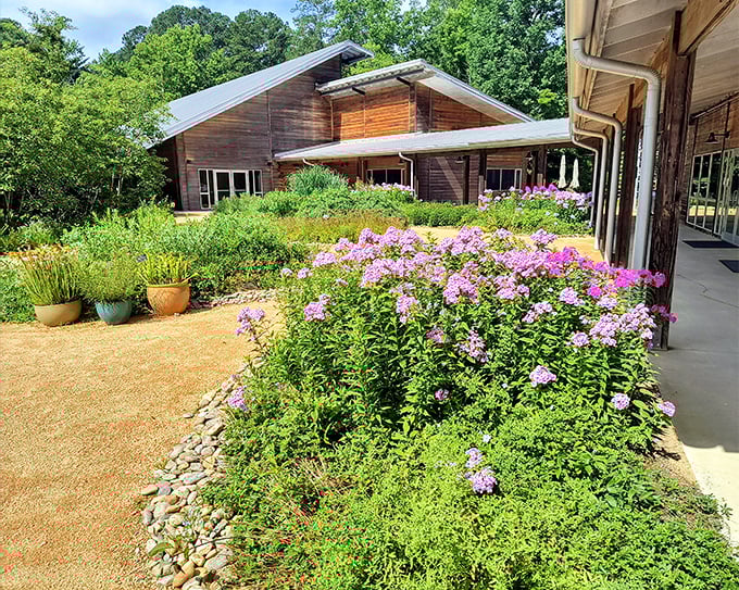 The garden's sustainable building surrounded by a riot of purple and yellow blooms &ndash; proof that architecture and nature can be best friends.