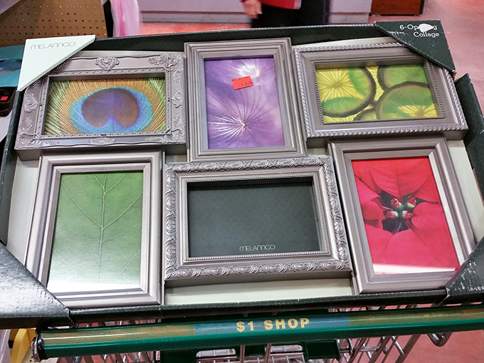 Picture frames galore! Because every family photo deserves better than being trapped in your phone's digital purgatory.