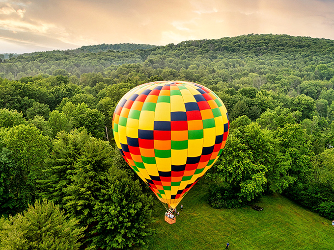 Hot air balloons drifting over Lackawanna's canopy&mdash;proof that sometimes the best views aren't on your Instagram feed.