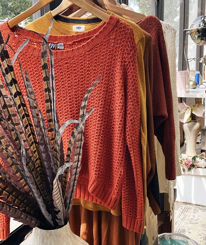 Fall-colored sweaters lined up like autumn leaves, each with enough character to star in its own indie coffee shop commercial.