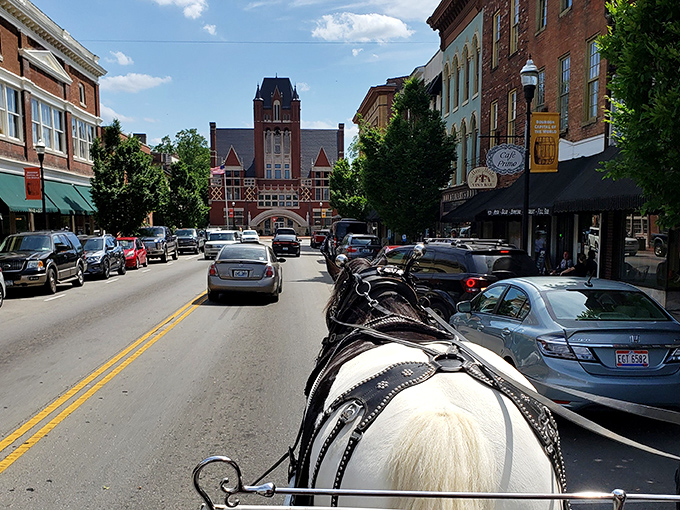 Horse-drawn carriage tours prove that sometimes the best way to see a historic downtown is at the pace it was originally designed for.