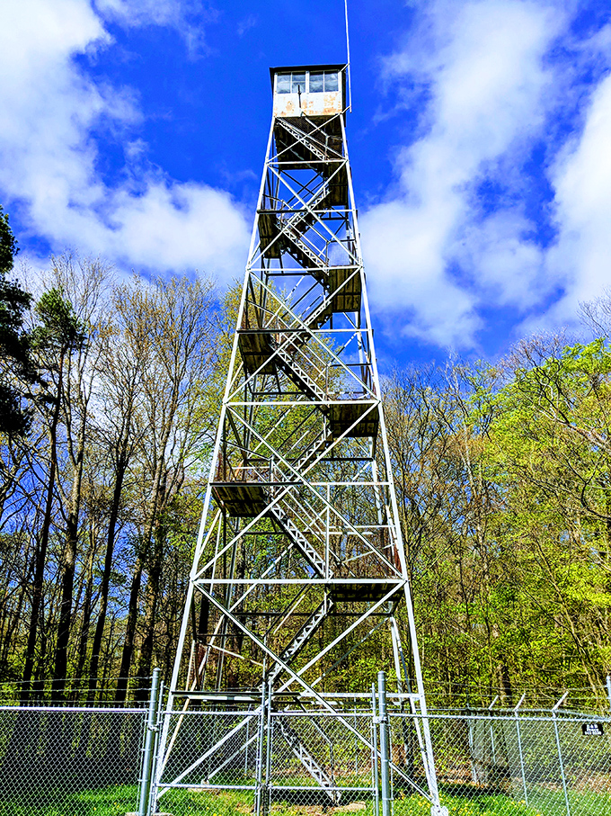 The ultimate stairmaster with a view! This fire tower rewards your burning calves with panoramic vistas that no Instagram filter could improve.