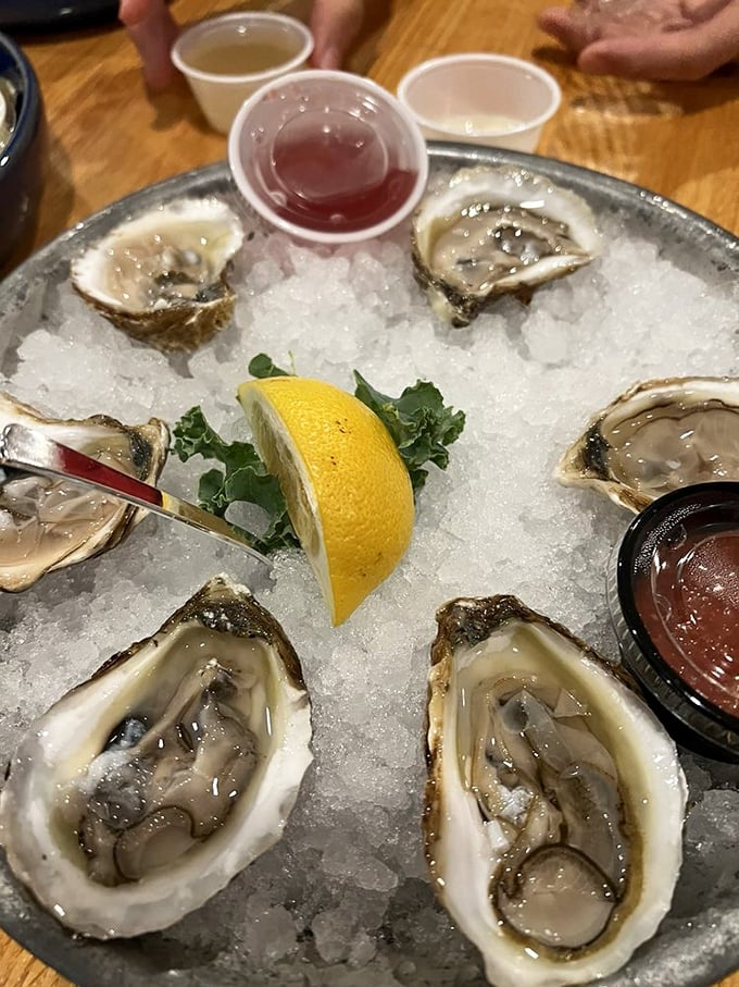 A circle of briny perfection on ice. These oysters are so fresh they practically whisper tales of the Atlantic with each slurp.