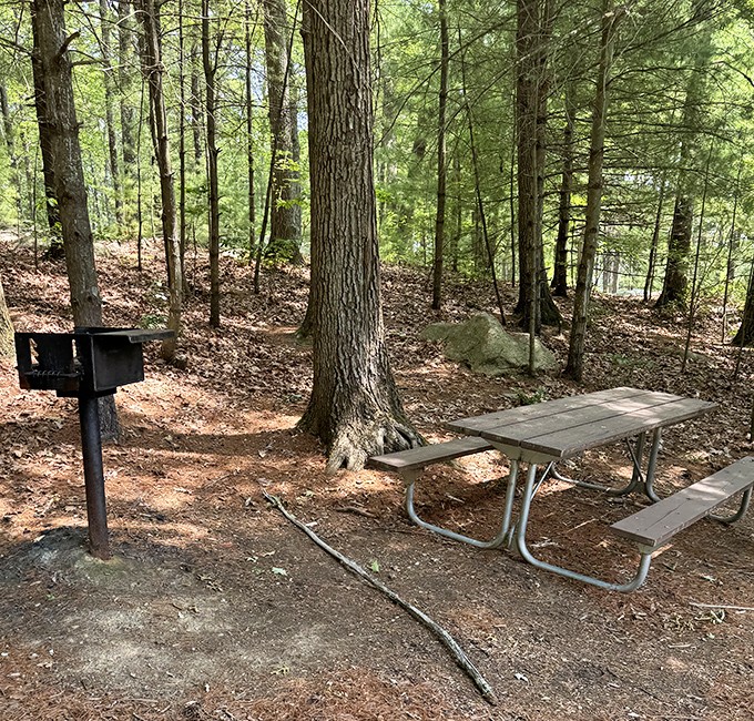 The classic picnic table &ndash; where family memories are made and at least one person always sits on the wobbly side.