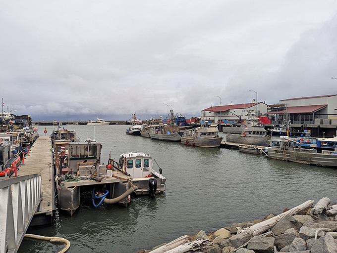 Nome's harbor buzzes with fishing vessels and supply boats &ndash; the maritime lifeline of this remote Alaskan outpost.