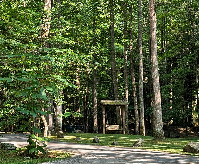 Sometimes the simplest pleasures are the best&mdash;a wooden swing nestled among towering trees, inviting you to sit and stay awhile.