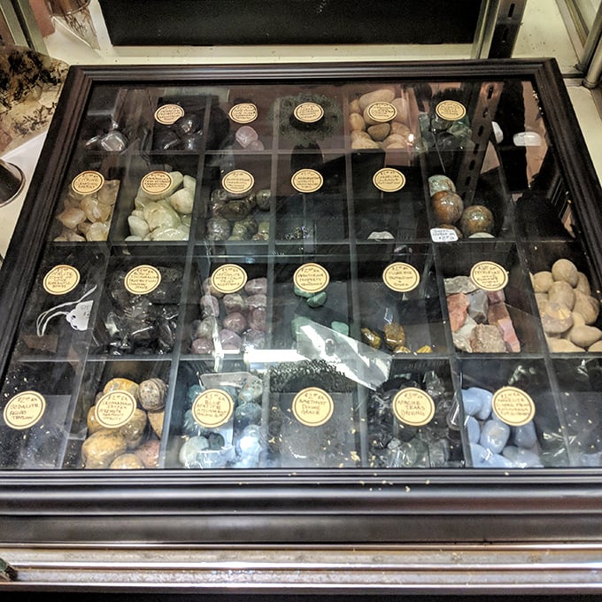 A meticulously organized collection of minerals and stones, each labeled with scientific precision. Even chaos has its categories here.