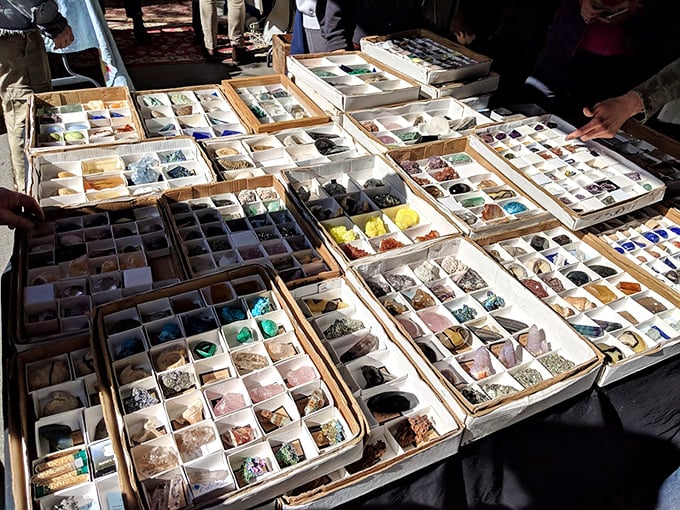Nature's jewelry box spread before you&mdash;each compartment holding geological wonders that formed millions of years before anyone worried about matching outfits.