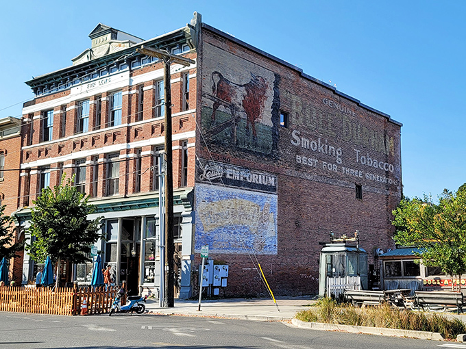 Ghost signs from another era share wall space with modern murals – Port Angeles wears its history like comfortable layers rather than mothballed memories.